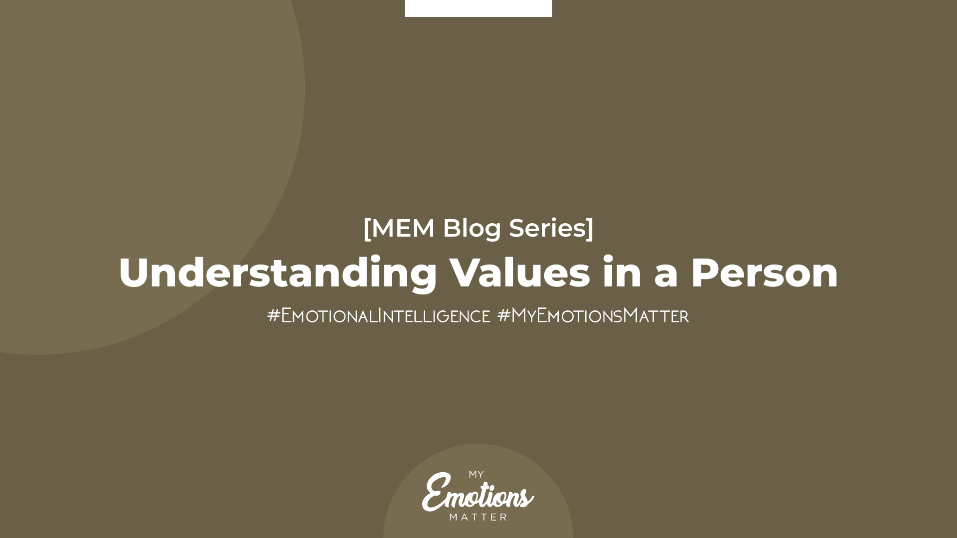Understanding Values in a Person